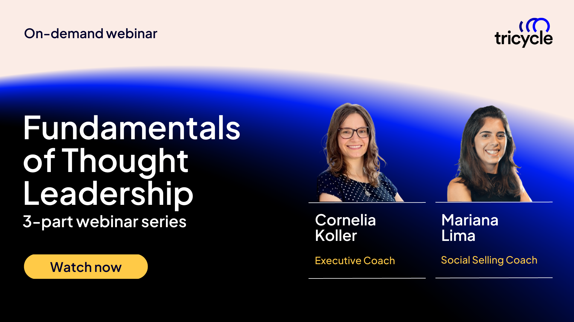Insightful Dialogues: On-Demand Thought Leadership Webinars | Tricycle ...
